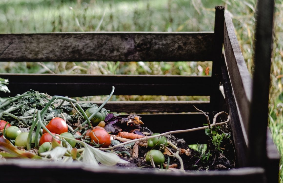 Compostagem: o que é, para que serve e como fazer